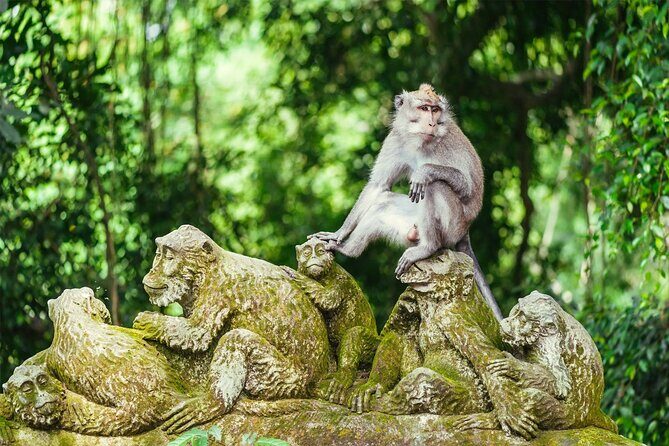 Ultimate one-stop Jewelry Experience with Ubud Tour - Final Thoughts