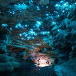 Ultimate Waitomo Glowworm Tour  Private, Tailored, After Dark - Value and Practical Considerations