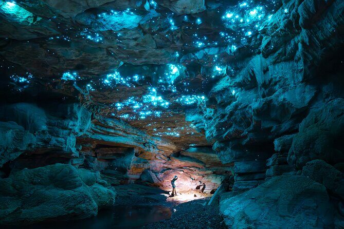 Ultimate Waitomo Glowworm Tour  Private, Tailored, After Dark - Value and Practical Considerations