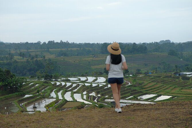 Ulundanu Bratan Temple, Jatiluwih Rice Terrace and Tanah Lot Sunset Tour - The Itinerary in Detail