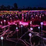 Uluru (Ayers Rock) Field of Light Sunrise Tour - The Itinerary in Detail