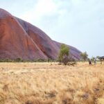 Uluru Morning Guided Base Walk - The Itinerary in Detail