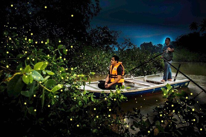 Unbelievable Firefly Kuala Selangor Day Tour - Is This Tour Worth the Price?