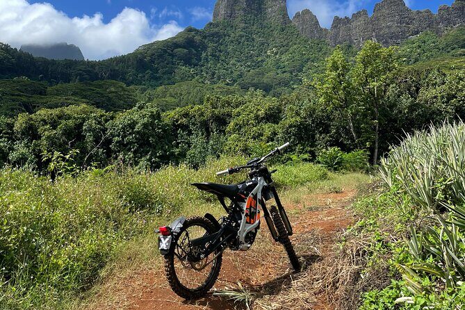 Unique excursion to Moorea on a 100% electric motorbike - Authentic, Eco-Friendly, and Personal