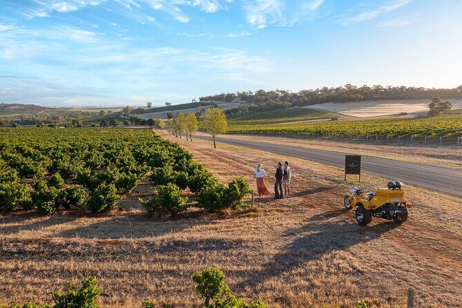 Unique Trike Barossa Valley Half Day Private Tour For 2 - Who Should Consider This Tour?