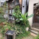 Urban Canvas: Osaka Street Art Bike Tour - The Sum Up