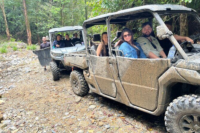 UTV 4wd Cassowary Falls and Daintree Rainforest Adventure tour - Authentic Experiences and Real-World Feedback