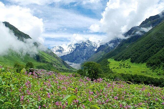 Valley of Flowers and Hemkund Trek- Banbanjara - Final Thoughts: Is This Trek Worth It?