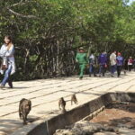 Vam Sat Biosphere & Monkey Island Tour From Sai Gon - Detailed Itinerary Breakdown