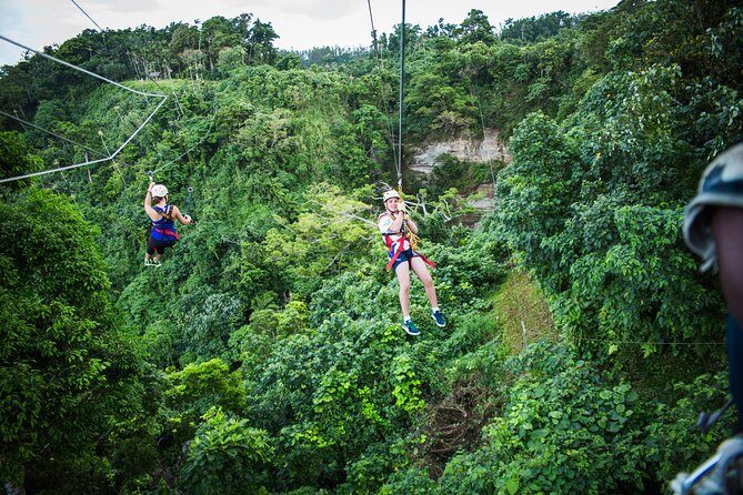 Vanuatu Jungle Zipline - Self Drive Option - The Ziplining Experience: From Canopy to Ocean