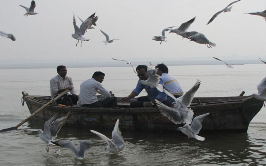 Varanasi: Sunrise Boat Ride w/ Ghats & Morning Rituals - Authenticity and Overall Experience