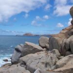Victor Harbor and Fleurieu Peninsula Tour - Authentic Traveler Insights