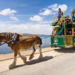 Victor Harbor and Southern Highlights from Adelaide - What’s Included and What’s Not