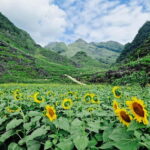 Vietnam: 7-Day North Vietnam Tour with Accommodation - What Does the Tour Really Offer?
