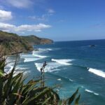 Vineyards Honey and Black Sand Beaches from Auckland - Third Stop: Soljans Estate Winery
