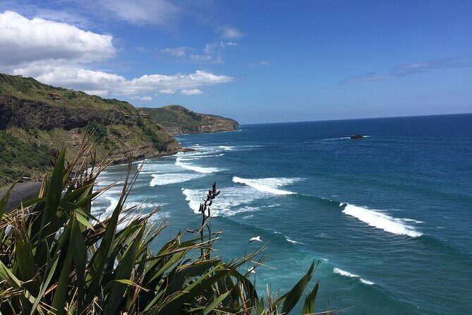 Vineyards Honey and Black Sand Beaches from Auckland - Third Stop: Soljans Estate Winery