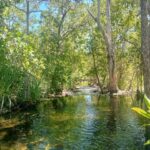 vip backpacker Litchfield - Food and Logistics