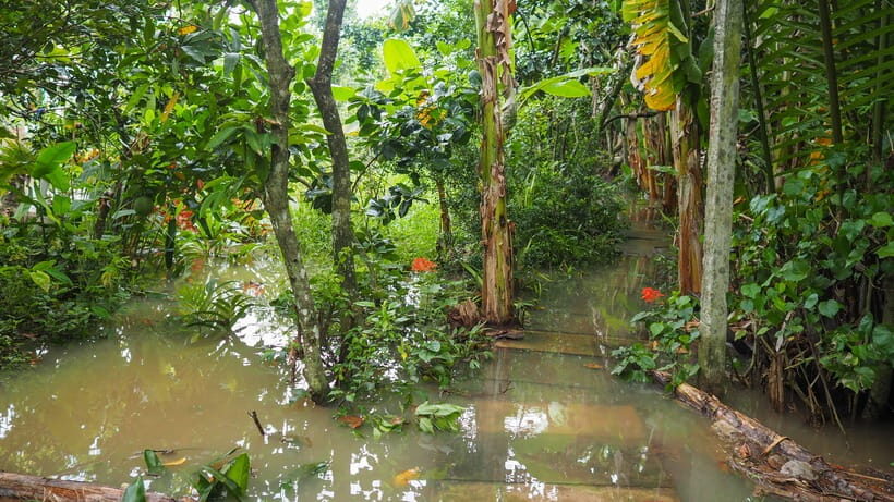 VIP Cu Chi Tunnels & Mekong Delta Full Day Tour From HCMC - Who Will Love This Tour?