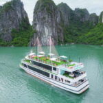 VIP TOUR - Seaplane 25-minutes + Halong Bay Cruise 1 Day - The Cruise Experience: Luxury and Authenticity