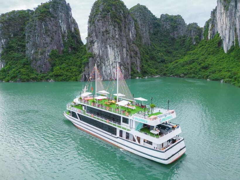 VIP TOUR - Seaplane 25-minutes + Halong Bay Cruise 1 Day - The Cruise Experience: Luxury and Authenticity