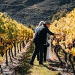 VIP Wine Experience from Queenstown Including Gourmet Lunch. - Why This Tour Offers Great Value