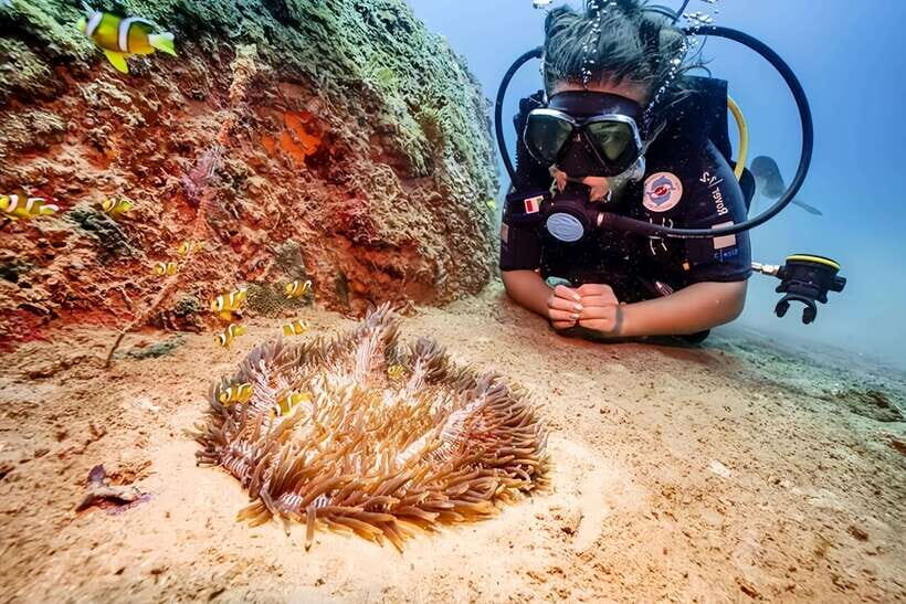 Visit Cham Islands & Snorkelling & Scuba Diving - An Honest Breakdown of the Cham Islands Tour