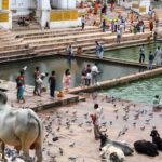 Visit Pushkar with Jaipur Drop from Bikaner - What Makes This Tour Stand Out?