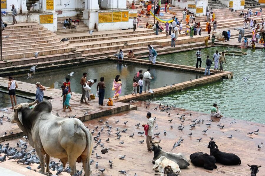 Visit Pushkar with Jaipur Drop from Bikaner - What Makes This Tour Stand Out?