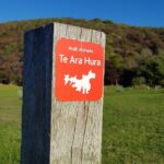 Waiheke Island 5 Day Self Guided Walking Adventure - What Travelers Say and Why It Matters