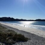 Waiheke Island Bush & Beach Walk - Who Should Consider This Tour?