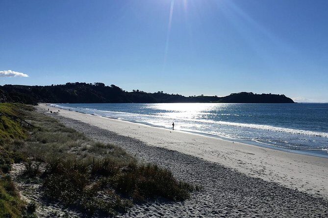 Waiheke Island Bush & Beach Walk - Who Should Consider This Tour?