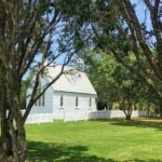 Waiheke Island Experience Tour - Scenic Drive Through Oneroa and Onetangi