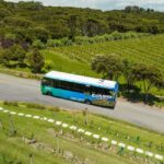 Waiheke Island: Ferry & Hop-On Hop-Off Explorer Bus Tickets - The Ferry Ride: A Moment of Calm and Beauty