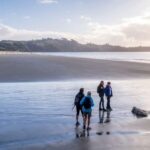 Waiheke Island: Forest and Beach Premium Guided Walk - The Practical Aspects