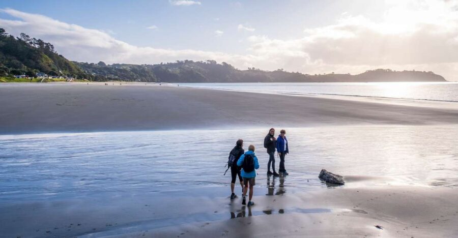 Waiheke Island: Forest and Beach Premium Guided Walk - The Practical Aspects