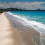 Waiheke Island Gourmet Food and Wine Tour with Platter Lunch - What Makes This Tour Stand Out
