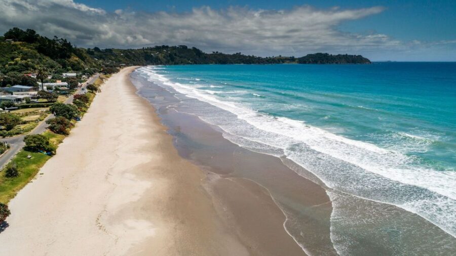 Waiheke Island Gourmet Food and Wine Tour with Platter Lunch - What Makes This Tour Stand Out