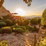 Waiheke Island Half Day Scenic Wine and Lunch - Practical Considerations