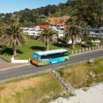 Waiheke Island Hop-On Hop-Off Explorer Bus - Who Will Love This Tour?