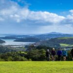 Waiheke Island: Premium Vineyard, Wine Tasting and Bush Walk - What to Expect from the Waiheke Island Tour