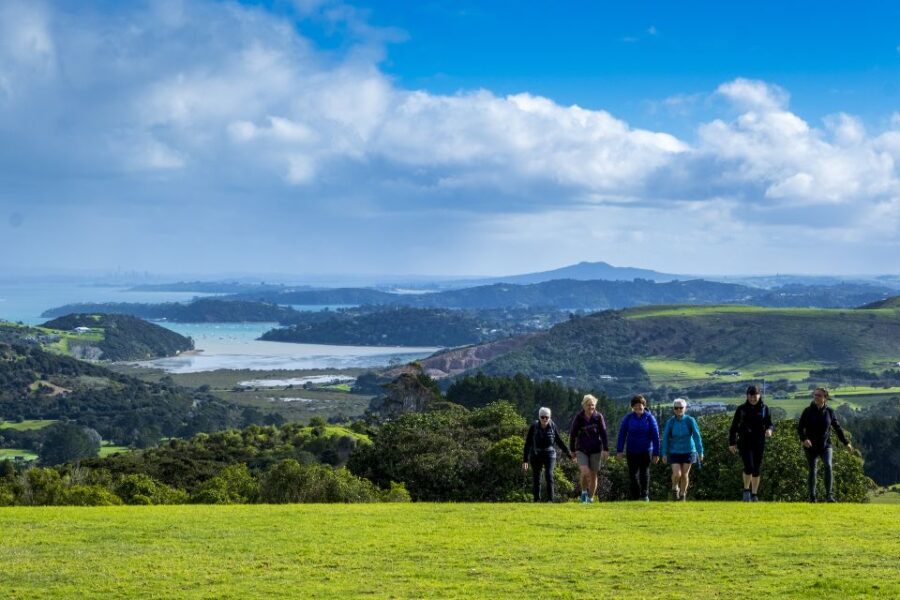 Waiheke Island: Premium Vineyard, Wine Tasting and Bush Walk - What to Expect from the Waiheke Island Tour