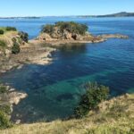 Waiheke Island Private Double Headland Walk - Authentic Experiences from Past Travelers