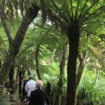Waiheke Island: Private Guided Te Ara Hura 5-Day Walk - Itinerary Breakdown — What You Can Expect Each Day