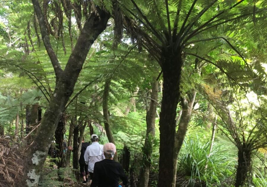 Waiheke Island: Private Guided Te Ara Hura 5-Day Walk - Itinerary Breakdown — What You Can Expect Each Day