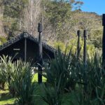 Waiheke Island Private History and Heritage Tour - Practical Tips