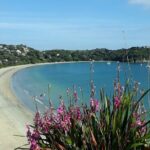 Waiheke Island Private Tours - Final Thoughts: Is It Worth It?