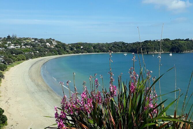 Waiheke Island Private Tours - Final Thoughts: Is It Worth It?