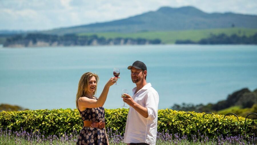 Waiheke Island: The Essence of Waiheke Wine Tour - The Practical Side: What to Expect
