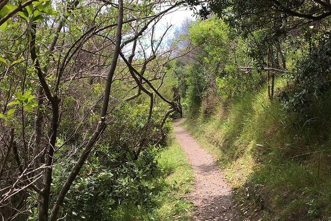 Waiheke Island Vineyards and Bush Walk - The Value of This Tour