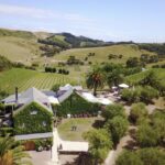 Waiheke Island: Wine Tour + Lunch at Award Winning Venue - A Closer Look at the Waiheke Island Wine Tour
